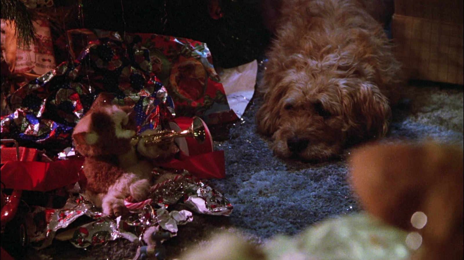 The Dog In Gremlins Was A Very Good Boy Who Thought The Monsters Were Real